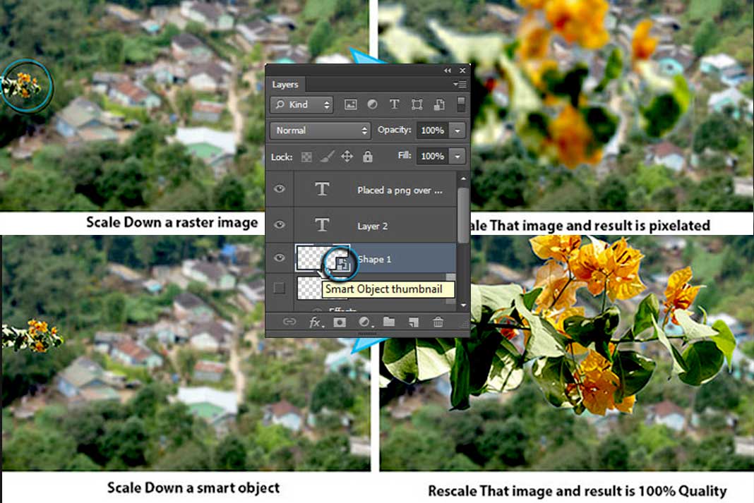 Smart Object - ToolTutorial